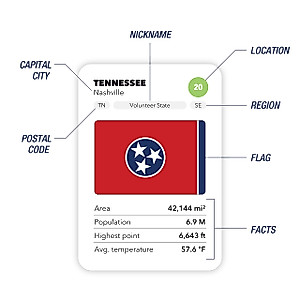 The 50 States Game - US Geography Board Game - Educational Game for Kids & Adults - Fun Learning for Teenage Boys & Girls