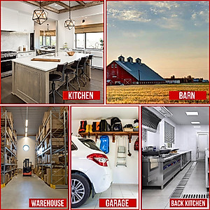 Squirrel Trap (No Bottom Tray) - Ideal for Chipmunks and Squirrels, Metal Construction, Holds up to 25 Squirrels, 2 Traps