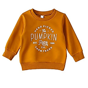 BOEBNOZCV Toddler Boy Girl Halloween Pumpkin Patch Sweatshirt Outfit Long Sleeve Oversized Sweater Shirts Fall Blouse Clothes (Brown Pumpkin Sweatshirt,7-8 Years)