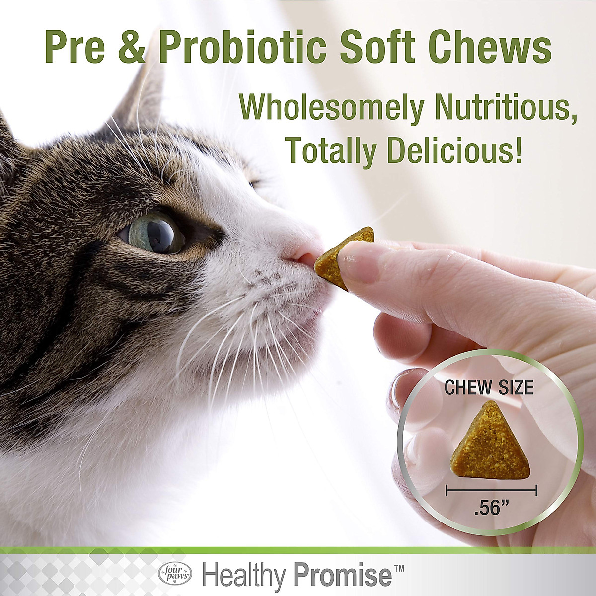 Four Paws Healthy Promise Pre and Probiotics for Cats Soft Chews 90 Count
