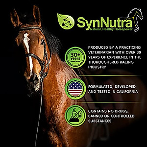 SynChill 12-Pack Oral Horse Calming Gel, 100% Natural & Nutritional Supplement, Lab Proven Results, Designed for Peak Focus & Performance, Approved by Veterinarians, FEI Compliant & Made in USA