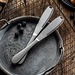 HANSWARE Butter Knife,Butter Cutter Slicer Stainless Steel Butter Knife Spreader,3 In 1 Multi Function Cheese Knife Easy Spread Butter Curler Knife For Cold Butter,Peanut. (2 PCS)