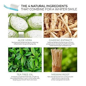 FARMASI Eurofresh Whitening Toothpaste, Provides Sensitive Teeth and Oral Care, It Refreshes The Breath and Provides a Solution to Tea and Coffee Stains, 3.7 fl. oz / 112 ml