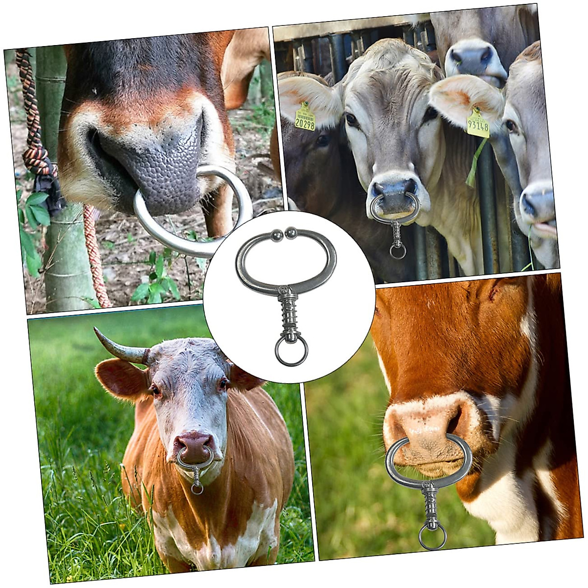 Yardwe 3pcs Spring Loaded Bull Nose Ring Stainless Steel Nose Ring Cattle Pliers Ring Farm Animal Pulling Tool Cow Nose Piercing Traction Nose Rings Cattle Traction Ring Livestock Supply