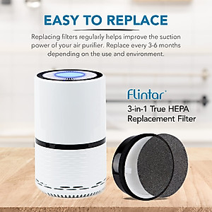Flintar H13 True HEPA Replacement Filter, Compatible with LV-H132 Air Purifier, Part # LV-H132-RF, 2-Pack