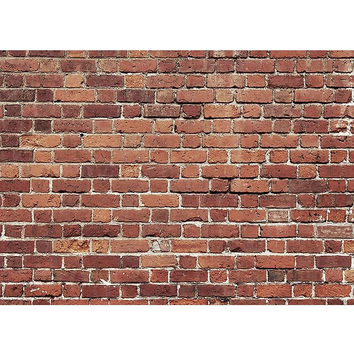 LTLYH 10x10ft Red Brick Wall Photography Backdrop Photo Background Kids Birthday Cake Smash Photoshoot Wedding Graduation Party Photographer Photo Booth Studio Props Banner 080