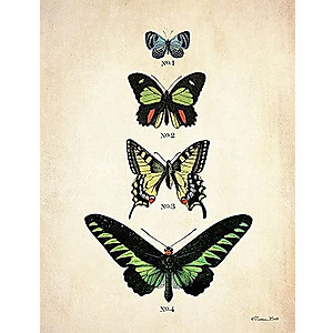 Posterazzi PDXSB887SMALL Artwork, Medium, Multi