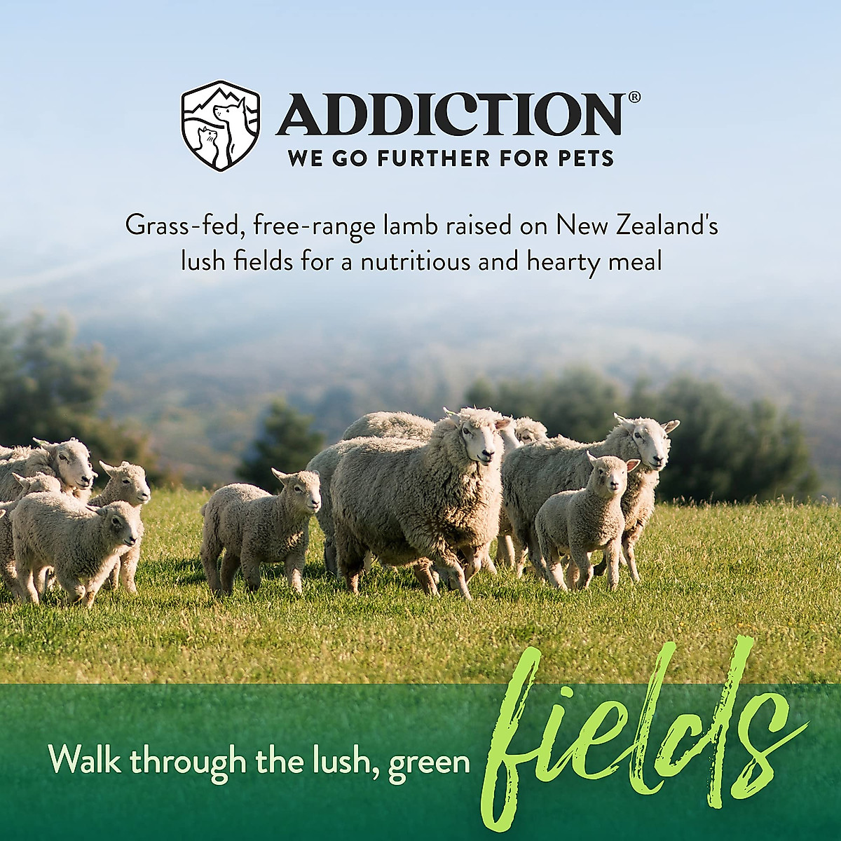 Addiction Herbed Lamb & Potatoes Raw Alternative Dog Food - Gently Air-Dried Complete Meal or Dog Food Topper for Digestive and Skin and Coat Health, 2 lb