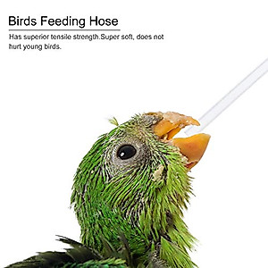 balacoo 3pcs Young Birds Feeding Hose Soft Plastic Tubing Hoses Pets Sick Birds Feeding Tools Medicine Milk Water Food Feeder for Baby Bird