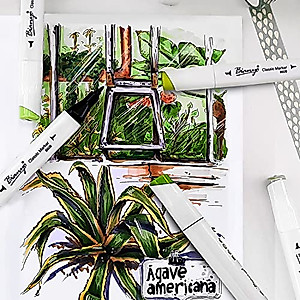 Bianyo Classic Series Alcohol Markers Set, Pack of 72, Dual Tip Bullet & Chisel Art Marker Set, Black Case with a Designable Card for Coloring, Drawing, Sketching, Outlining, Highlighting, Designing