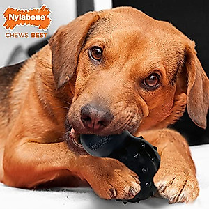 Nylabone Strong MAX Chew Cone Stuffable Chew Toy for Dogs MAX Cone Beef Medium/Wolf (1 Count)