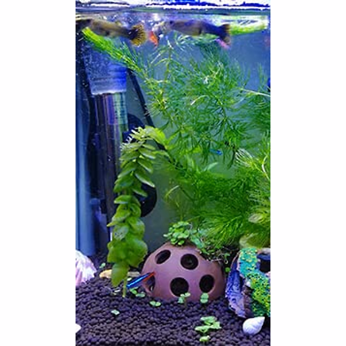 OrgMemory Ceramic Shelters, 4 pcs, Fish Tank Accessories Cave Décor, Small Fish House, Aquarium Hideout, Swim Holes Aquatic, Aquarium Cave for Freshwater and Saltwater Fish Tank (hemispherical)