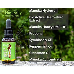 Dr. Judy Morgan's Dental Health Formula for Dogs & Cats, 1 fl oz (30 ml)