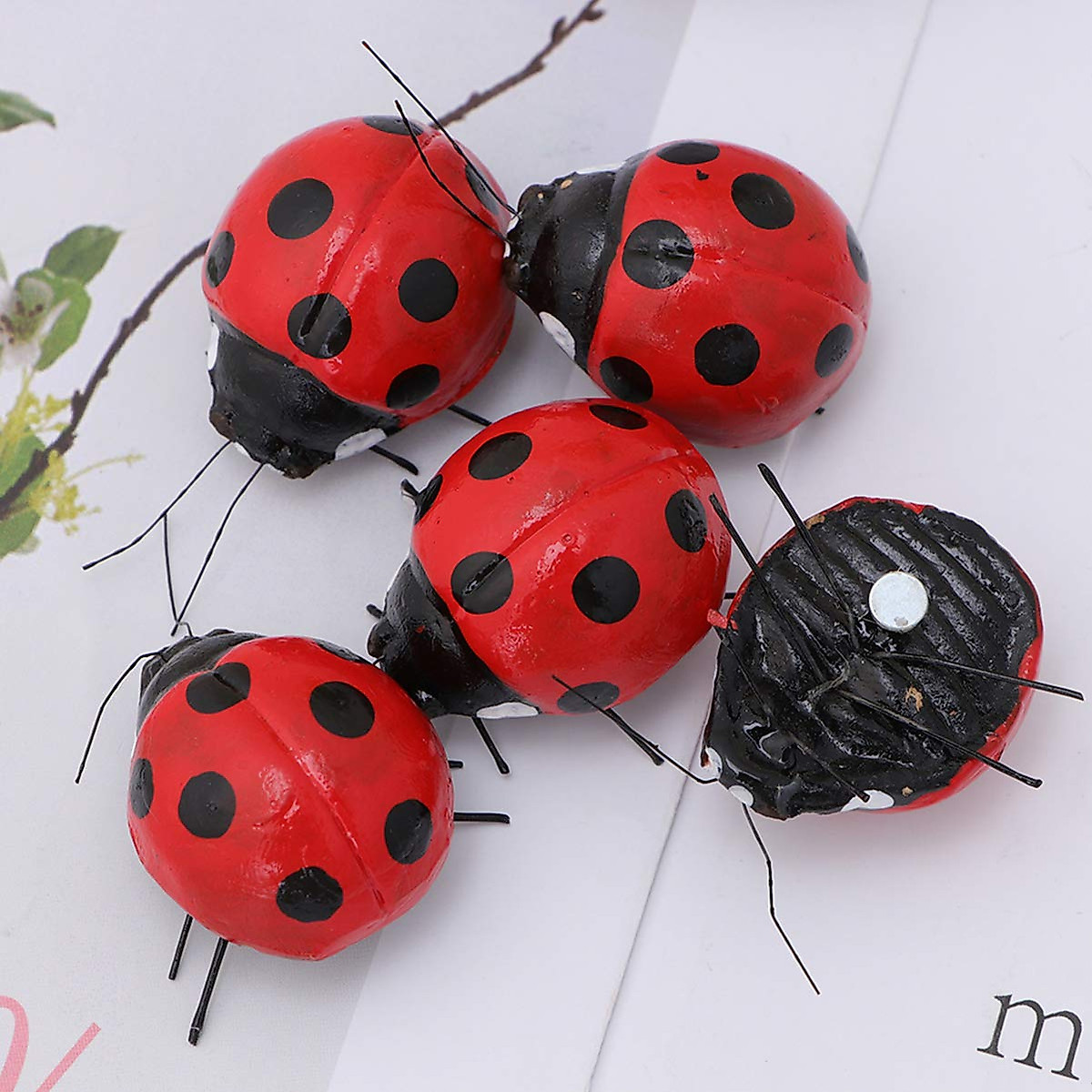 NUOBESTY Ladybug Refrigerator Magnets Decorative Fridge Magnets for Office Kitchen 5 Pcs