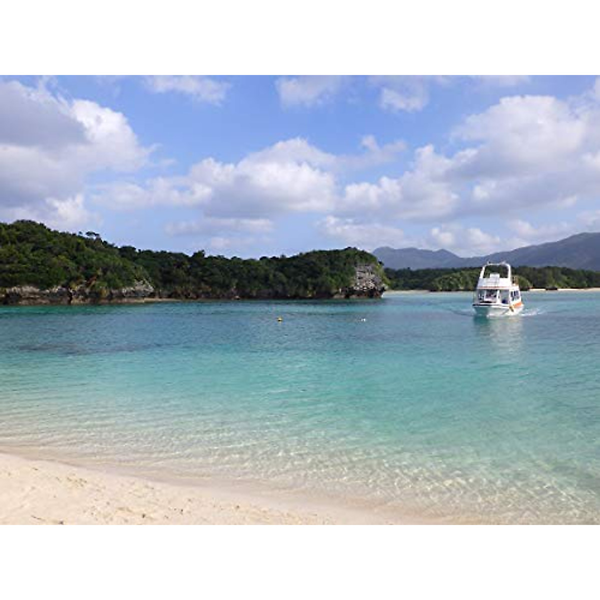 Ricoh WG-70 Orange Waterproof Digital Camera 16MP