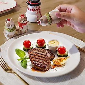 Christmas-Decorative Salt & Pepper Shakers Sets- Ceramic Cat Salt and Pepper Shakers Sets Novelty Christmas Fat Cat Design Easy to Refill & Dispense (Seasoning & Spice) 3.25H inch Newman House Studio