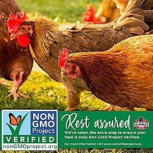 Kalmbach Feeds All Natural Non-GMO Flock Maintainer Pellets for Mixed Flocks of Poultry