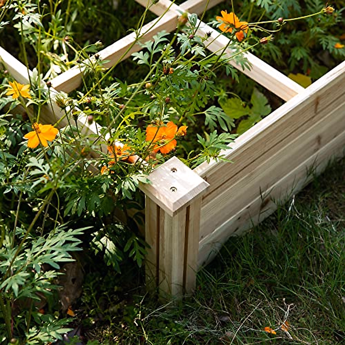 Outsunny 4ft x 4ft Raised Garden Bed, Wooden Planter Box with Segmented Growing Grid for Plants & Herbs, Natural Wood
