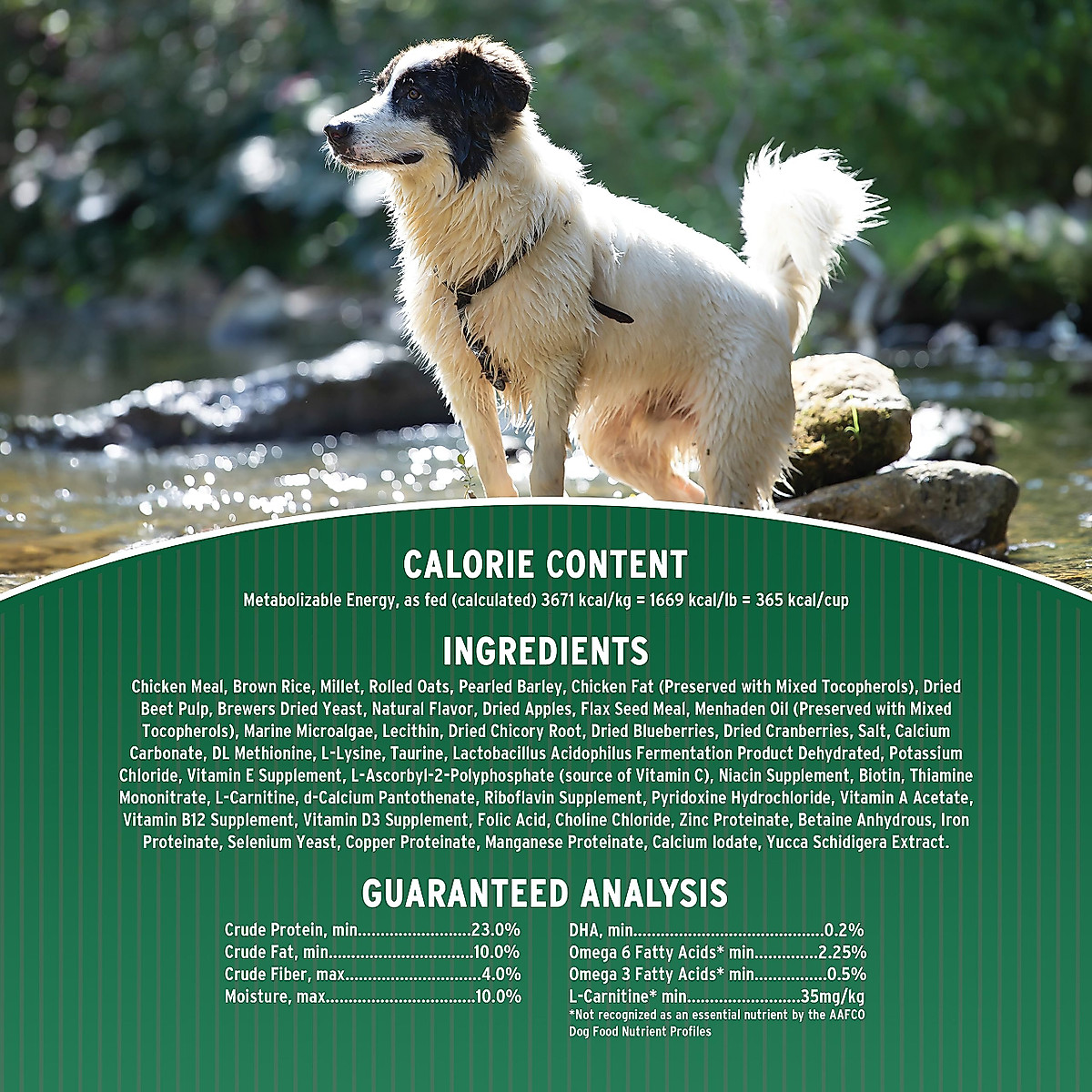 Annamaet Original Adult Formula Dry Dog Food, 23% Protein (Chicken & Brown Rice), 12-lb Bag