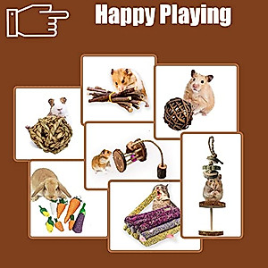 13PCS Guinea Pigs Toys, Rabbit Toys Set Natural Wooden Hamster Toys for Teeth Care, Best Choose for Rabbit Guinea Pig Rat Bunny Chinchillas Gerbils Chew