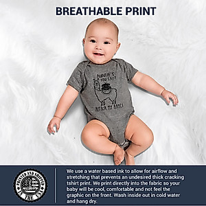 Auntie's You Say Alpaca My Bags Baby Boy Girl Clothes Llama Funny Announcement Shower Bodysuit Romper (6 Months) Heather Gray