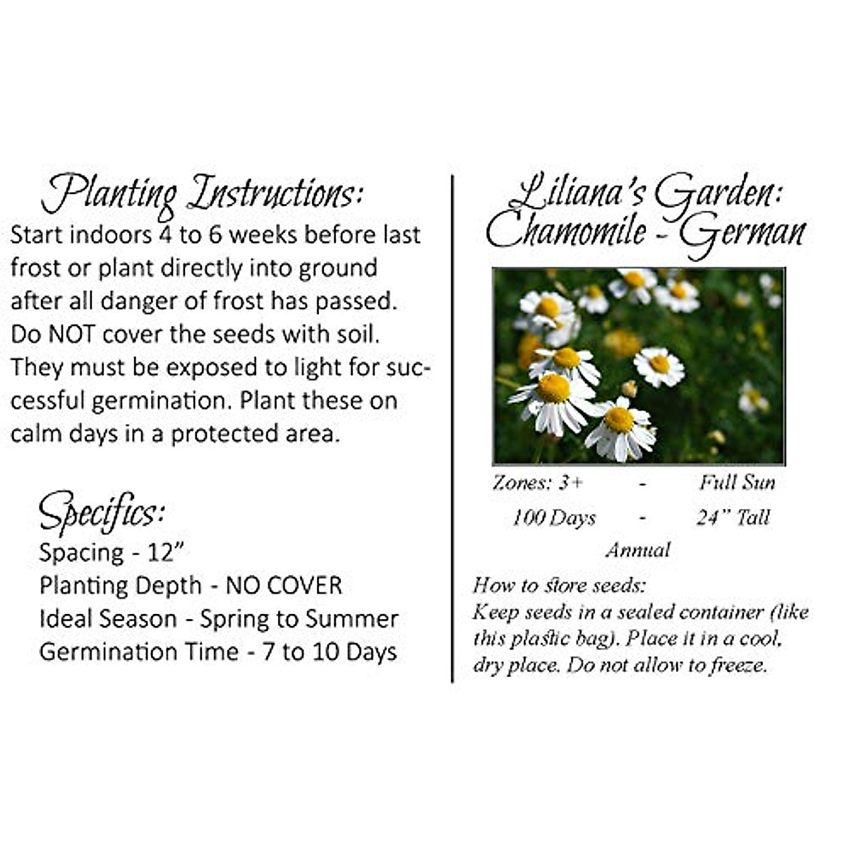Herb Seeds - German Chamomile - Medicinal, Flowering, and Edible - Liliana's Garden