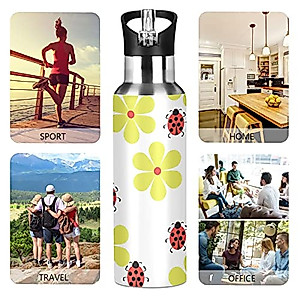 xigua Ladybug Water Bottle Double Walled Stainless Steel Leak Proof Thermo Flask for Sports Gym Cycling Outdoor,20 oz.