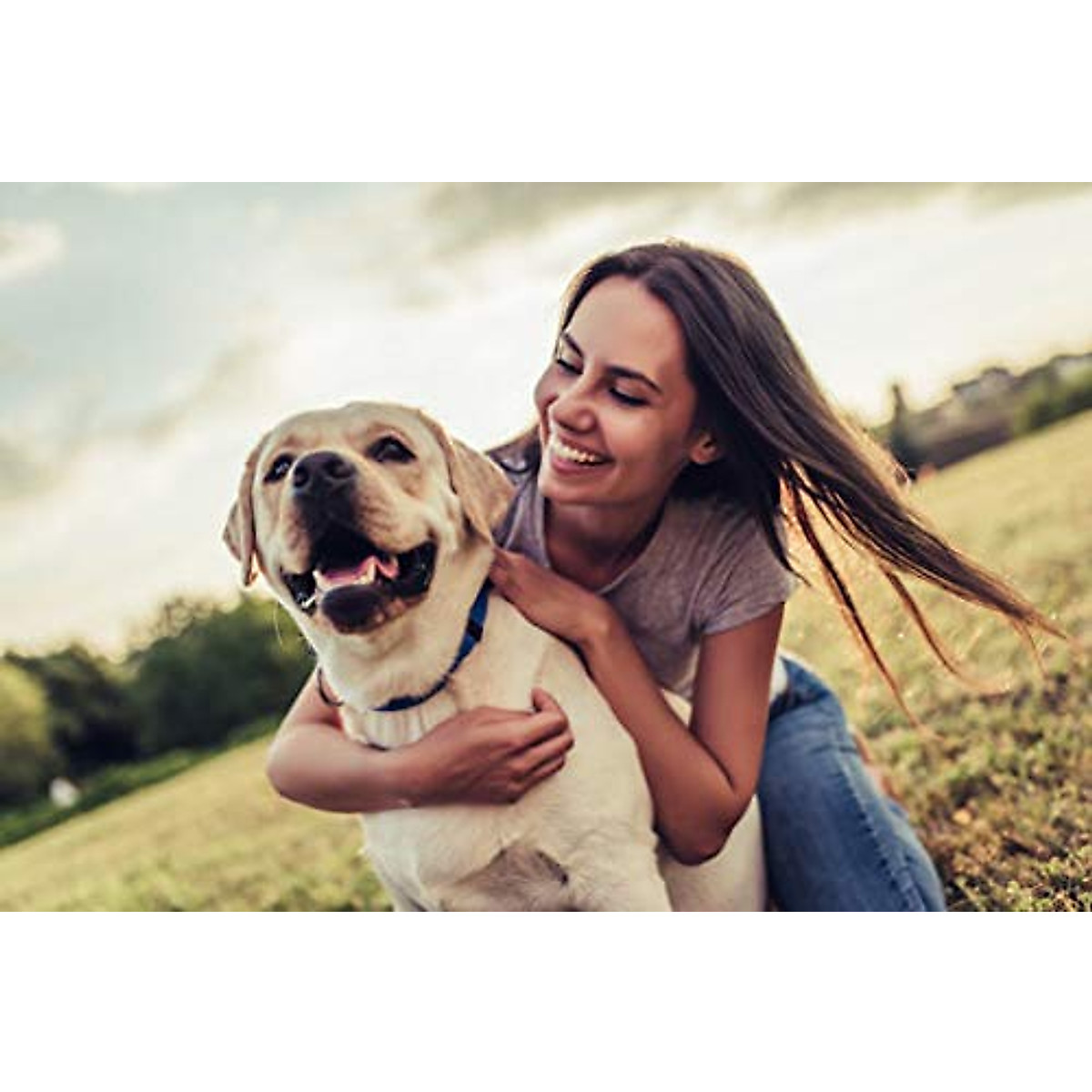 HAPPY PET VITAMINS LLC Dog Digestive Treats - Dog Digestive AID - Natural PROBIOTIC and PREBIOTIC Blend - Optimal Gut and INTESTINE Health - Dog probiotic Supplements - 2 Bottles (120 Treats)