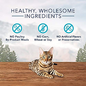 Blue Buffalo Wilderness Crunchy Cat Treats, Chicken 12-oz Tub