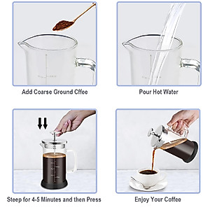 Nukeekee Mini French Press Coffee Maker-304 Stainless Steel Grilles, Borosilicate Glass Small Coffee Press,Non-slip Silicone Base-12 oz /350 ml with 2 Filter Screen-2 Cup Teapot