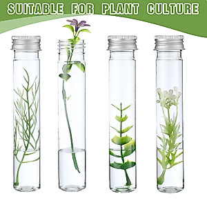 Dandat 80 Pcs 65ml Clear Flat Plastic Test Tubes with Screw Caps, Plastic Tubes Containers Storage Tubes with Caps Test Lab Tubes for Sample Testing, Candy, Spices, Dried Flowers and Party Favors