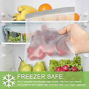 Rictine 22 Pack Reusable Gallon Freezer Bags - Dishwasher Safe, Leakproof, BPA Free Reusable Storage Bags for Lunch, Marinate Food, Travel - 8 Gallon, 8 Sandwich, 6 Snack Bags