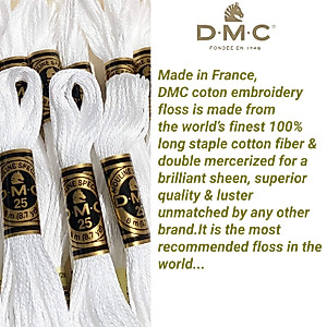 DMC White Embroidery Floss Kit, 6 Strand 117- Blanc CottonThread 12/ Pack Bundle with 1Skein of Each DMC Ecru/Snow White and DMC Cross Stitch Needles.Premium String/Yarn.Friendship Bracelet Supplies
