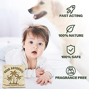 Zensanit 4 Pack Activated Charcoal Odor Absorber 170g/6oz - Nature Fresh Coconut Shell Air Freshener - Fragrance-Free Odor Eliminator for Home Use, Equal 16 Pack Bamboo Charcoal Air Purifying Bag