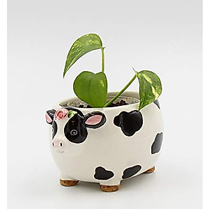 Cosmos Gifts Fine Ceramic Country Barnyard Cow Candy Dish Bowl/Plant Planter, 5" L
