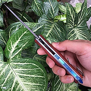 ALBATROSS HGDK001 EDC Classic Damascus Folding Camping Pocket Knives With Liner Lock,Cocobolo Wood Handle,Gifts/Collections