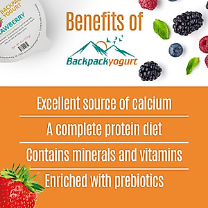 Backpack Yogurt, Strawberry 4 oz. (48 count) - Real Fruit Yogurt - No Fridge Needed - Kosher Certified - Gluten Free Snack For All Ages