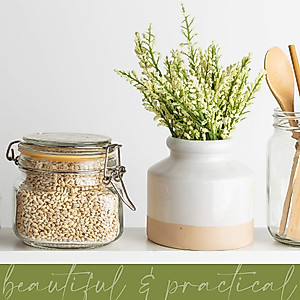 Galashield Glass Jars with Lids 16 oz Food Storage Jars with Airtight Lids Leak Proof Glass Canisters Kitchen Jars