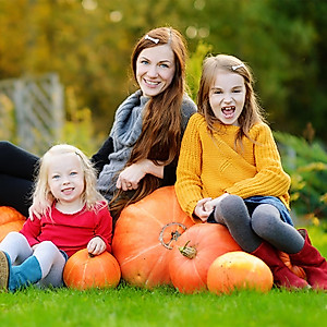 WLLHYF 4 Pack White Bone Hair Clips Goth Barrettes Halloween Vivid Dog Bones Hairpins Alligator Side Band Clips Cosplay Costume Hair Accessories for Women Girl Pebbles Party Christmas