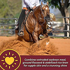 Farnam Laser Sheen Skin & Coat Supplement for Horses, Promotes Healthy Skin & Radiant Coat from The Inside Out, 7.5 Pound, 60 Day Supply