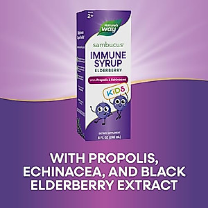 Nature's Way Sambucus Elderberry Immune Syrup for Kids Ages 2+, with Echinacea & Propolis, Daily Immune Support*, Vegetarian, Berry Flavored, 8 Fl Oz (Packaging May Vary)