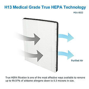 Flintar MD1-0022 True HEPA Replacement Filter, Compatible with Vornado Air Cleaner Purifier Model AC300, AC350, AC500, AC550, PCO200, PCO300, PCO375DC, PCO500 and PCO575DC (1-Pack)