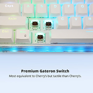 DREVO Gramr Full RGB Wired 84-Key Mechanical Gaming Keyboard with Switch Hot-Swappable Design, Full-Body RGB,TKL 75% Compact, Detachable USB-C Cable, Gateron Switch (Gateron Brown Switch, White)