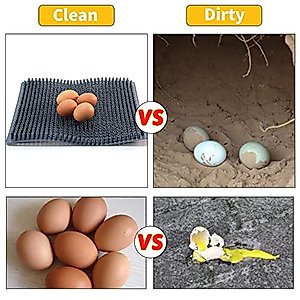 Hamiledyi Chicken Nesting Box Pads, 6PCS Hen Nest Mats Washable, Chicken Nesting Box Plastic Liners, Reusable Egg Laying Mats for Chicken Coop Poultry Nest Boxes Ducks