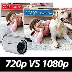 VENTECH Metallic Bullet Security Camera with 24 ir led Day-Night Vision 65ft Cut CMOS Outdoor Indoor (Hybrid 4-in-1 CVI/TVI/AHD/960H Analog CVBS)