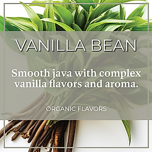 The Bean Organic Coffee Company Vanilla Bean, Medium Roast, Ground Coffee, 16-Ounce Bag,Café molido tostado organico
