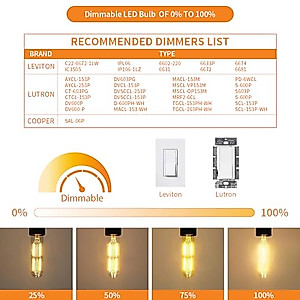 T10 LED Bulbs Warm White 3000K Clear Glass Tubular Edison Bulb dimmable E26 6W Equal 60 watt Light Bulb Warm White Light Bulbs 600LM Tubular for Rustic Pendant,Chandeliers,Wall sconces,Vanity . (8)