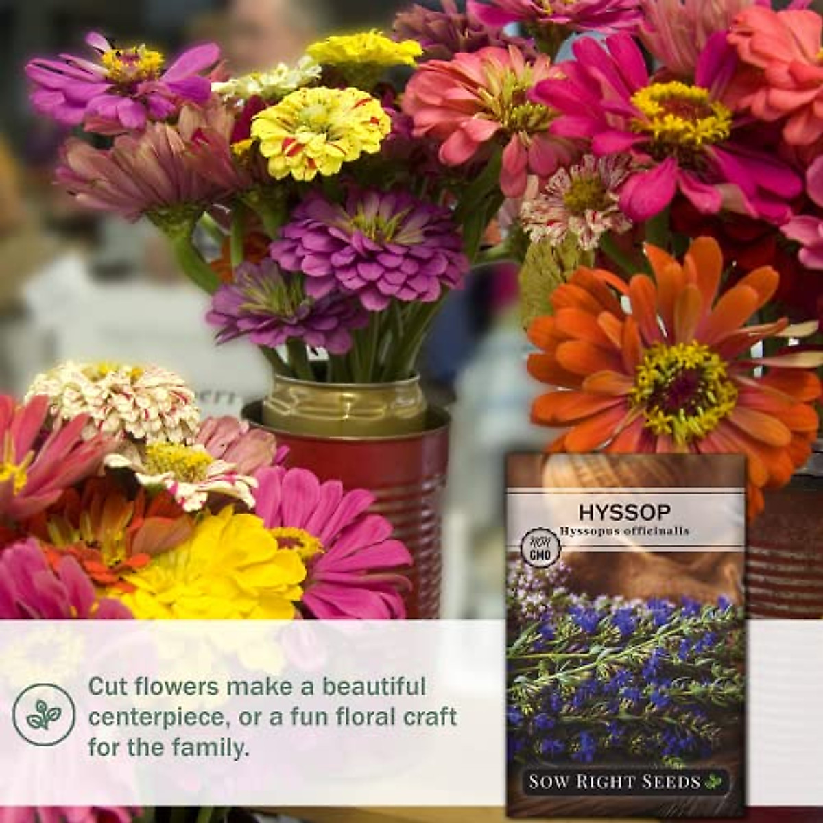 Sow Right Seeds - Anise Hyssop Seed for Planting - Medicinal Herb to Plant in Your Home Garden - Attracts Pollinators - Stunning Purple Flowers - Non-GMO Heirloom Seeds - Great Gardening Gift