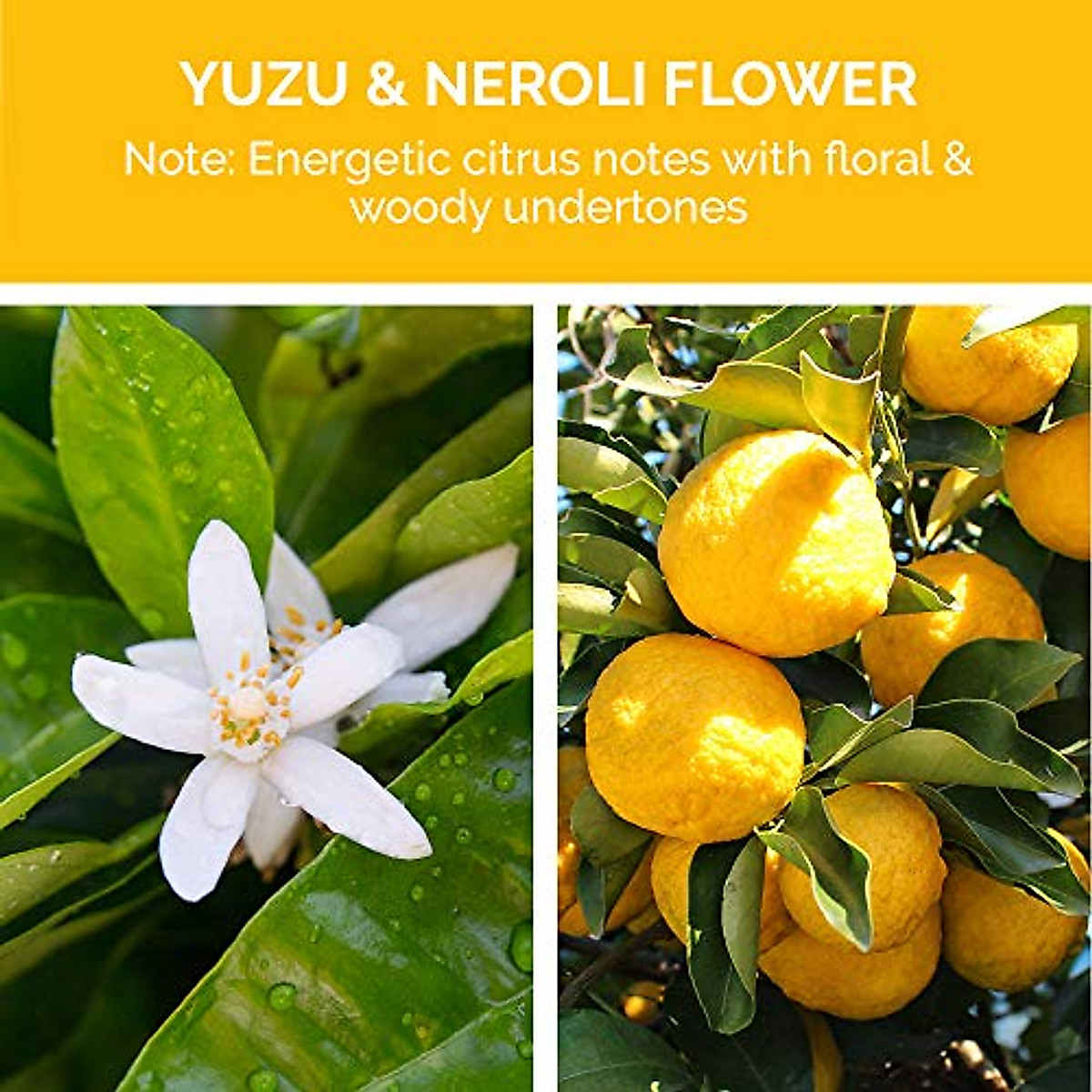 ColorProof SuperPlump Volumizing Shampoo: Volume Boosting, Lightweight, Moisturizing Hair Shampoo, Safe for Color-Treated Hair, Cruelty-Free, Vegan, Sulfate-Free, Salt-Free, Hair Color Maintenance