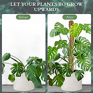 Moss Pole for Plants Monstera - 25 Inch Plant Stakes for Indoor, Moss Poles for Climbing Plants, Handmade Coco Coir Pole Plant Support for Creeper Plants Grow Upwards（Single）
